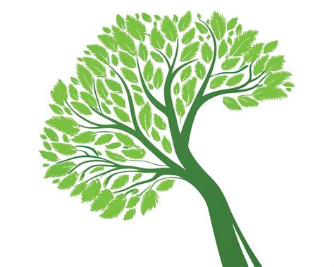 Green Leafy Tree Silhouette 66662538 Vector Art At Vecteezy