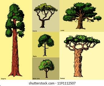 Big Set Engraved Hand Drawn Tree Stock Vector Royalty Free 733781248 Shutterstock