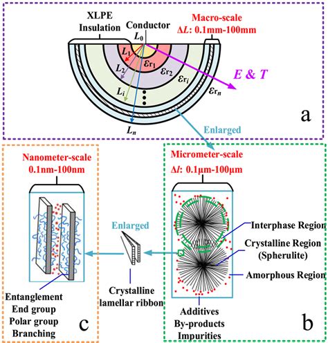 Analysis Of Dynamic Ageing Process From Spatial Dimension