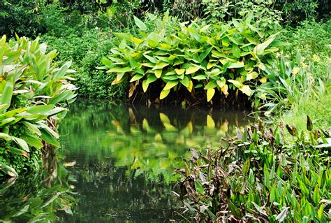 Cybersecurity Expert Portfolio