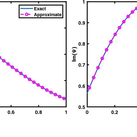 Graphical Depiction Of Exact And Approximate Solutions For