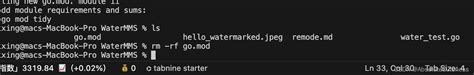 vscode 中由于多个go mod 的报错：error loading workspace gopls was not able to