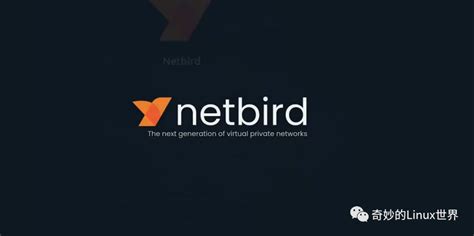 再见 tailscale，是时候拥抱下一代虚拟组网神器 netbird 了 csdn博客
