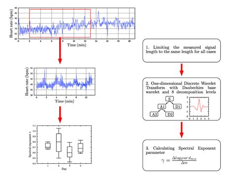A Schematic Diagram For The Signal Analysis Methodology Based Of The Download Scientific