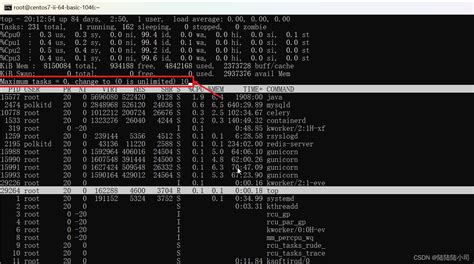 性能测试第十八课 linux服务器性能分析基础命令 linux命令怎么看服务器性能 csdn博客