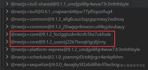 由 pnpm 处理 peerdependencies 的机制导致的 nestjs 依赖重复问题使用 pnpm works 掘金