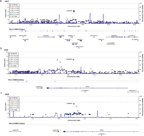 Regional Association Plot For Region Around The Significant Loci For Download Scientific