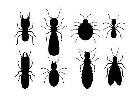 Termite Vector Art Icons And Graphics For Free Download