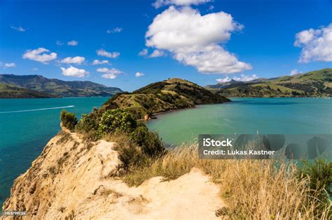 뉴질랜드의 오나웨 트랙 아카로아 뉴질랜드의 놀라운 오션 베이 아름다운 자연과 푸른 물이있는 오나웨 산책로 위대한 뉴질랜드 자연 사진 자연 배경에서 볼 수 있습니다 경관에