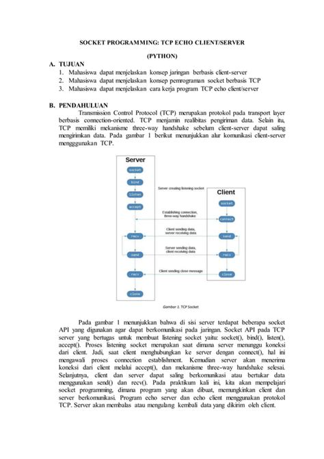 Socket Programming Tcp Echo Client Server Python