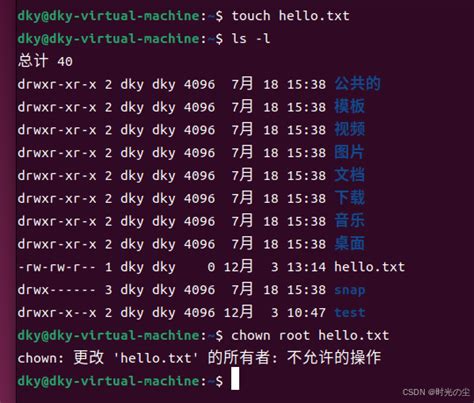 linux命令进阶·如何修改文件和文件夹权限（chomd命令的使用）、如何修改用户和用户组（chown命令的使用） linux更改文件所属用户