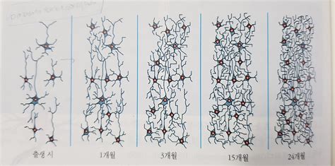 우리 아이는 어떤 길을 가고 있을까요