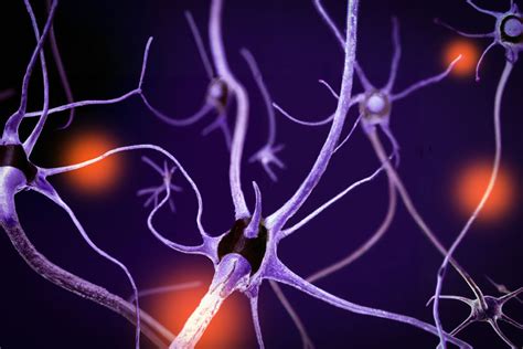 New Compound Demonstrates Nerve Regeneration Potential