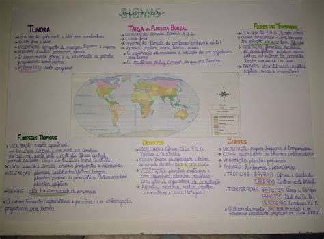 Mapas Conceptuales Artofit