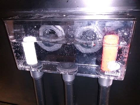 Herbie Overflow In Eshopps Eclipse M Reef2reef