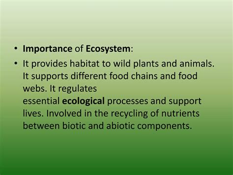 Eco System Power Point Presentation Pptx Science