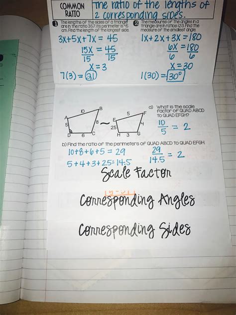 Ratio Proportions And Similar Polygons Mrs Newell S Math