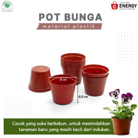 Green Leaf Pot Bunga Bibit Energy Bali