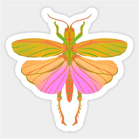 Aesthetic Bug Art Retro Aesthetic Sticker Teepublic