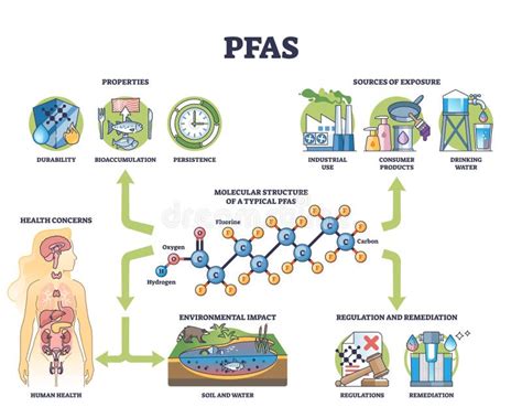 Pfas Diagram Outlines Exposure Sources Health Concerns And