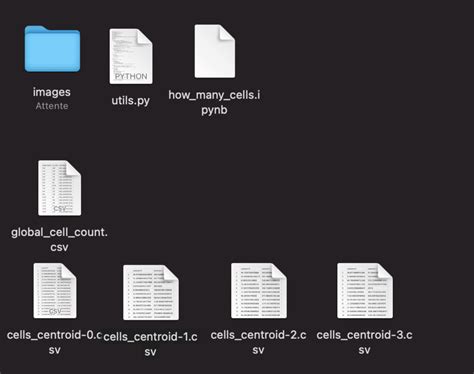 GitHub Sophiech Leaf Epithelium Analysis Using Python