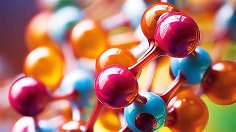 20 Examples Of Coenzymes Examples Lab