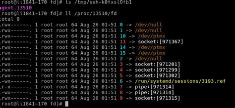 Ssh Tunnel How To Use Socket File To Access Server If Ssh Agent