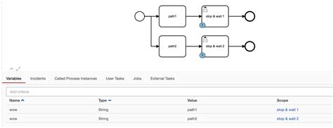 Can Not See Process Variable Specific To Execution Path On Cockpit When