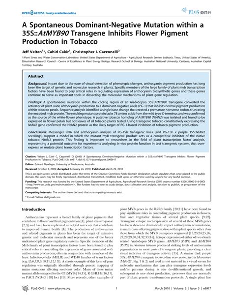 Pdf A Spontaneous Dominant Negative Mutation Within A 35s Atmyb90 Transgene Inhibits Flower