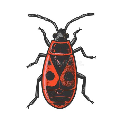 Firebug Stock Illustrations 366 Firebug Stock Illustrations Vectors And Clipart Dreamstime