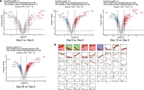 Time Series Clustering Analysis Of Genes During Osteogenic Time Series Clustering Analysis Of Genes During Osteogenic