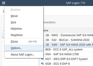 FAQ How Can I Change The Default Browser In The SAP GUI