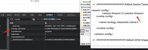 V 自定义session名称 知识库 项目管理系统