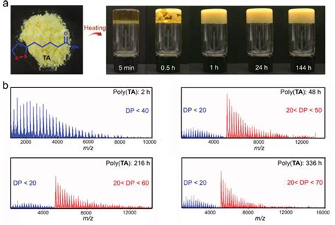 Time‐dependent Assembly Of Polyta A Time‐dependent Process Photos