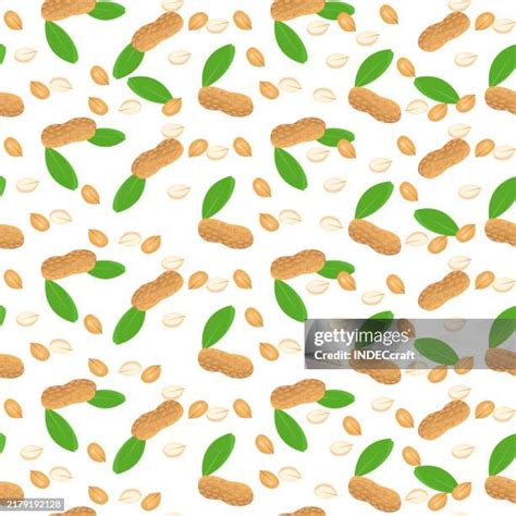 Peanut Seamless Pattern High Res Vector Graphic Getty Images