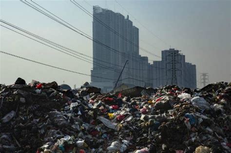 플라스틱으로 오염된 지구 인스티즈instiz 이슈 카테고리