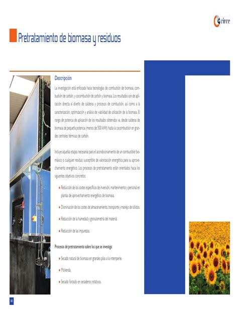 Pretratamiento De Biomasa Para Energía Pdf Biomasa Tecnología