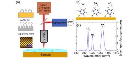 A Schematic Of Experimental Arrangement And Range Of Sers Substrates