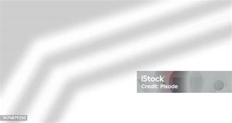 사실적인 흐릿한 자연광 나뭇잎 손바닥 및 창 그림자 오버레이가 벽 종이 또는 프레임 질감 추상 배경 여름 봄 가을에 제품 프레젠테이션 연단 및 모형 계절에 적용됩니다 0명에