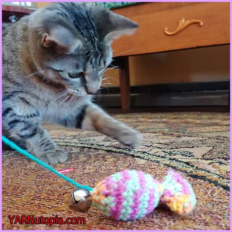 Crochet Tutorial Catnip Sardine Toy Yarnutopia And More Yarnutopia And More