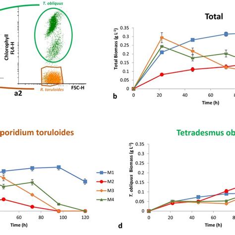 Microscopic Examination Of Rhodosporidium Toruloides And Tetradesmus