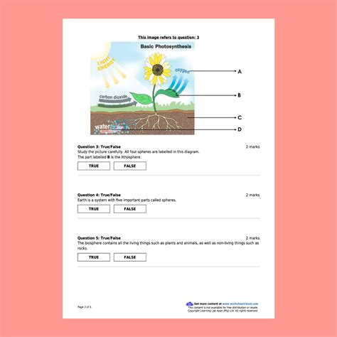 Grade 9 Natural Sciences Pack Worksheetcloud
