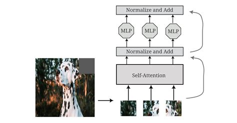 Representation In Vision Transformers And Attentionless Models Form And Formula