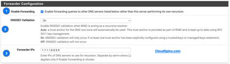 how to configure bind dns server on pfsense opnsense cloudspinx