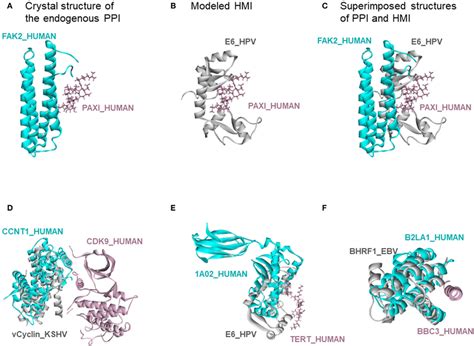 Recovery Of Known Hmis That Do Not Have Resolved Complex Structures
