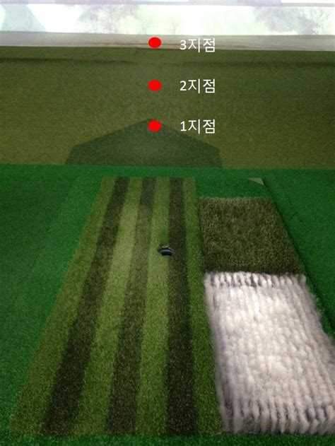 스크린골프 골프존 퍼팅 잘하는 법 네이버 블로그