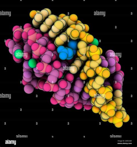 Rna Ribonucleic Acid Pseudoknot Complexed With Biotin Computer Model