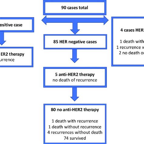 Fish Her2 Equivocal Cases Excluded Cases And Distribution Into 2
