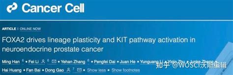 Cancer Cell 中国科学院揭示前列腺癌到神经内分泌谱系转变的潜在新机制 知乎